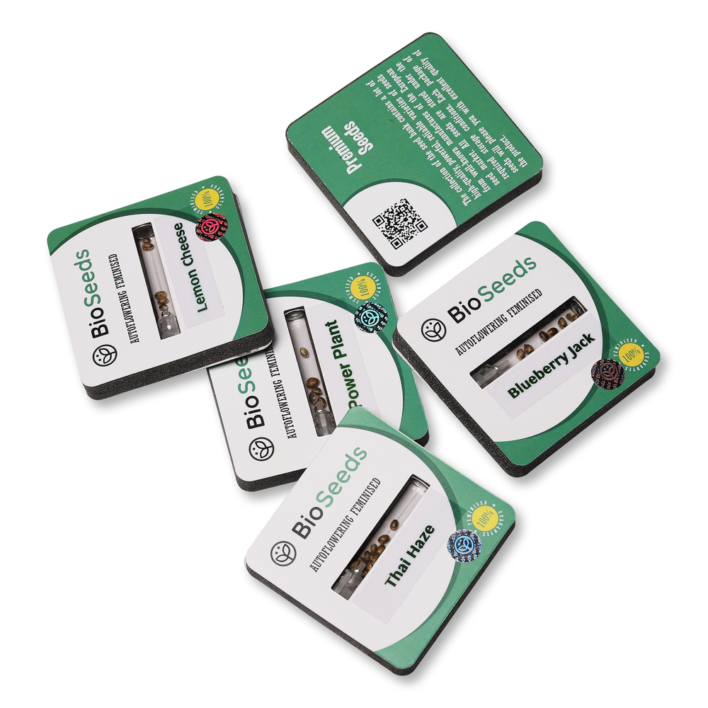 Семена сорта Easy Sativa Auto Fem (BioSeeds) купить за 783 ₽ в интернет ...